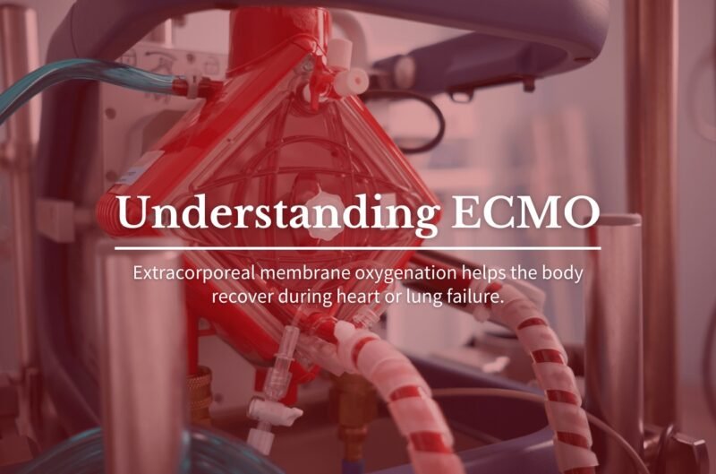 ECMO Training Programs – Institute of Critical Care Medicine
